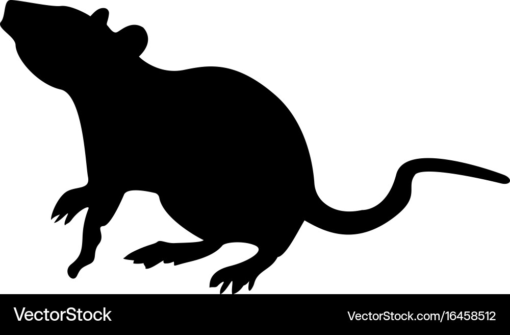Black Rat Silhouette Royalty Free Vector Image