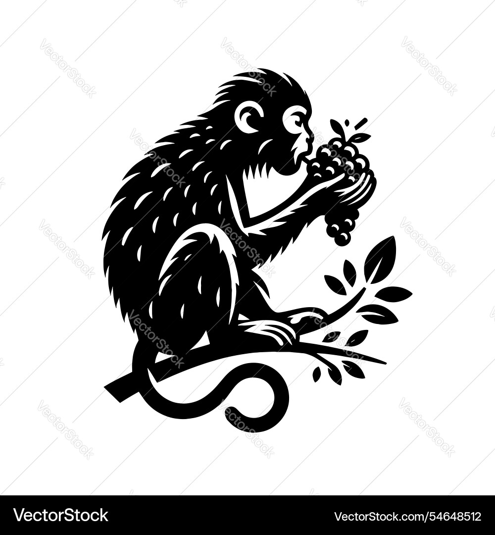 Monkey eating grapes on branch Royalty Free Vector Image