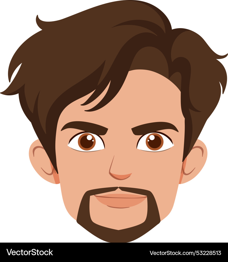 A mans face Royalty Free Vector Image - VectorStock