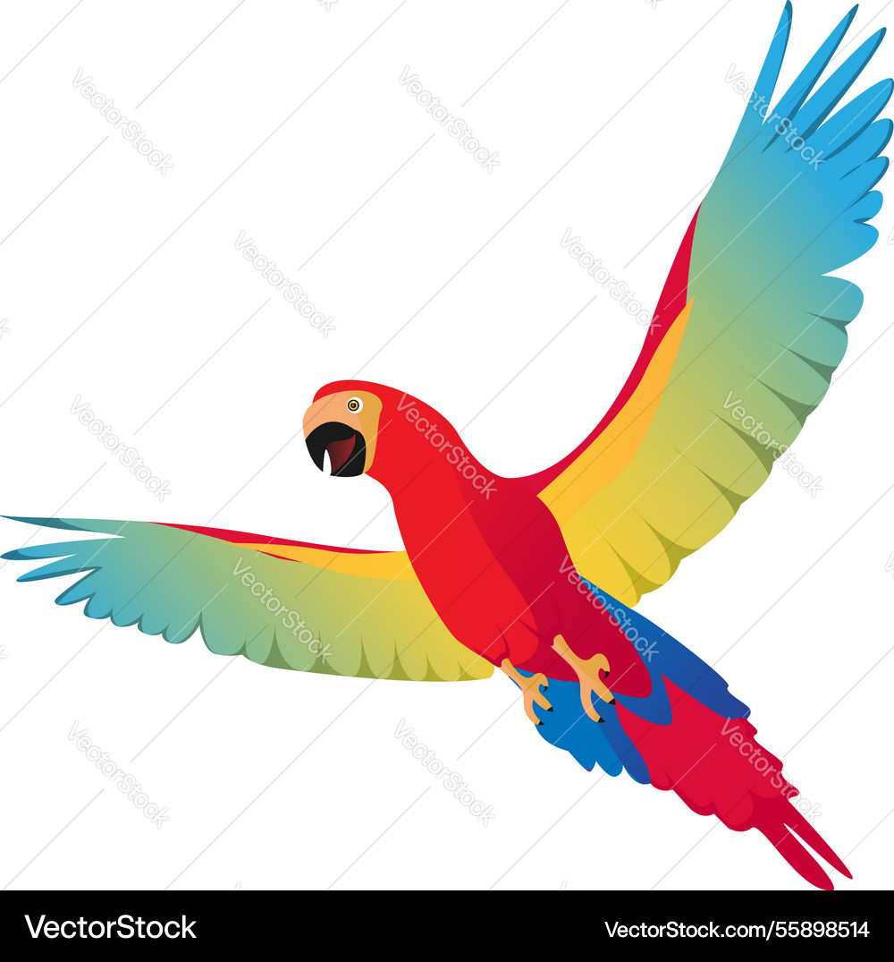 Parrot image Royalty Free Vector Image - VectorStock