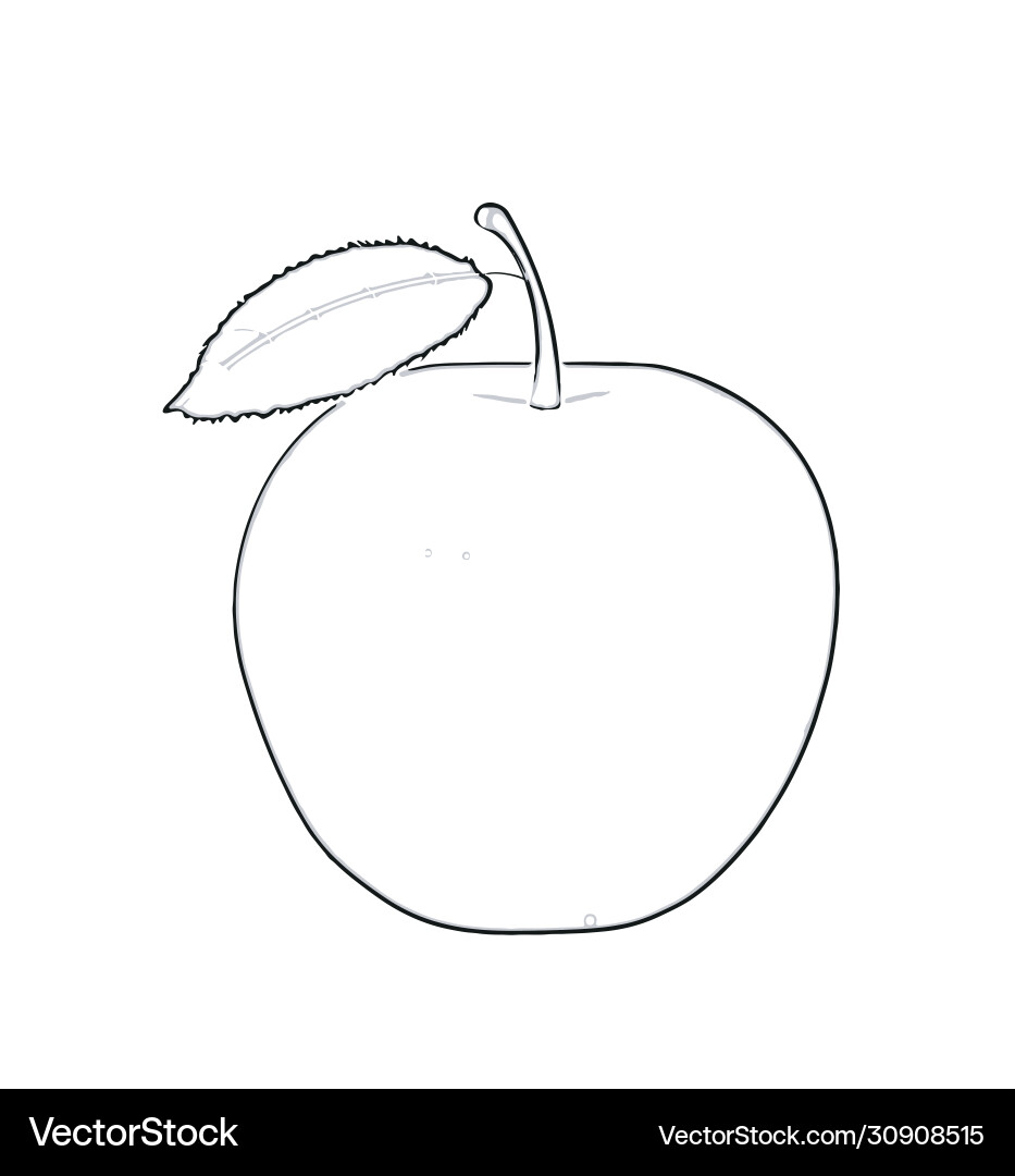 Blank apple for coloring book Royalty Free Vector Image