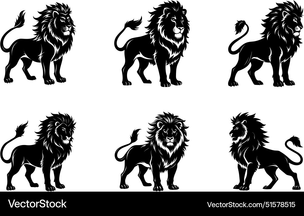Lion logo set premium design collection i Vector Image