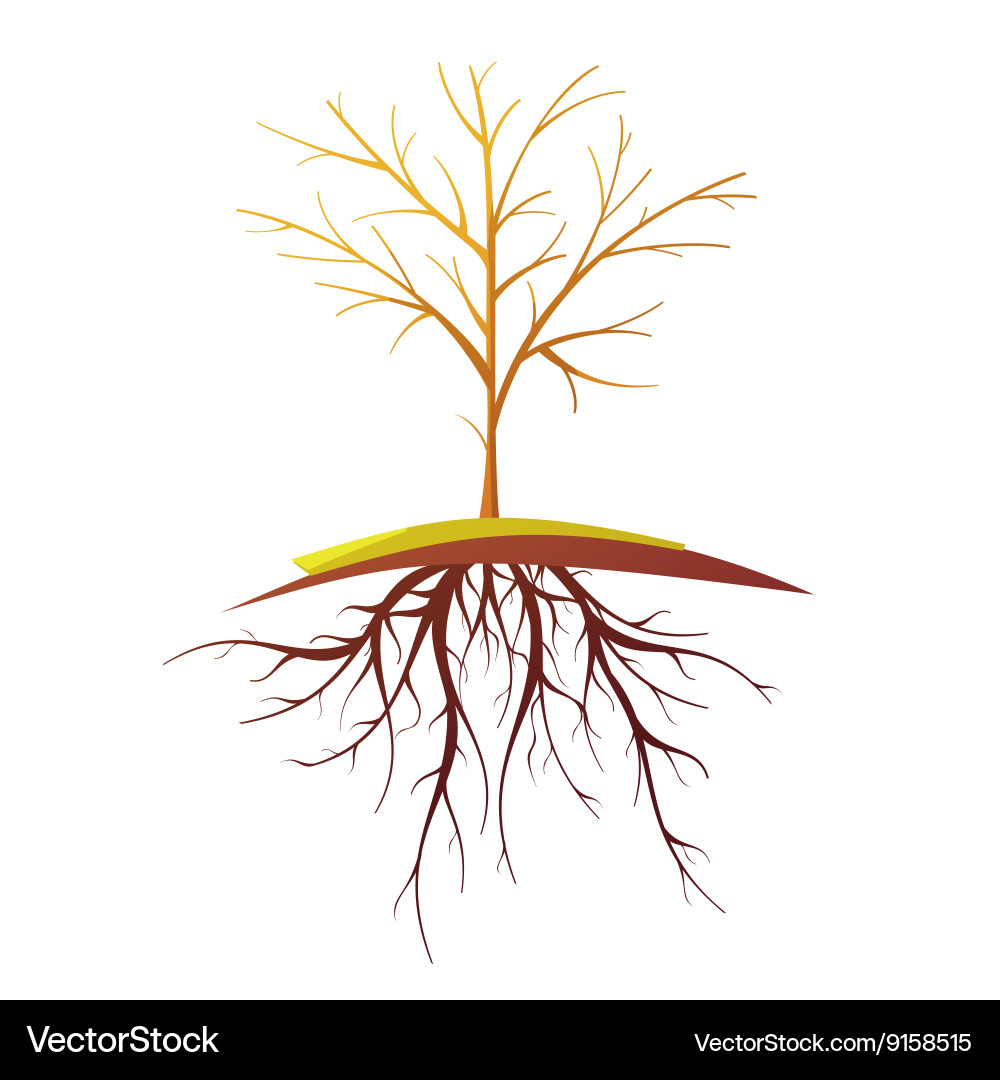 Tree with root isolated retro cartoon Royalty Free Vector