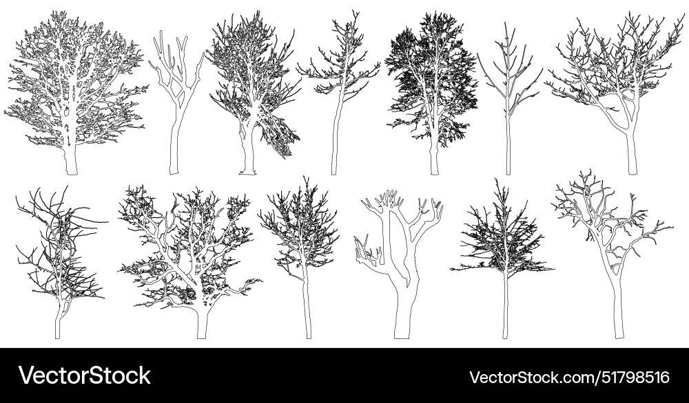 Bare trees contour set beautiful leafless Vector Image