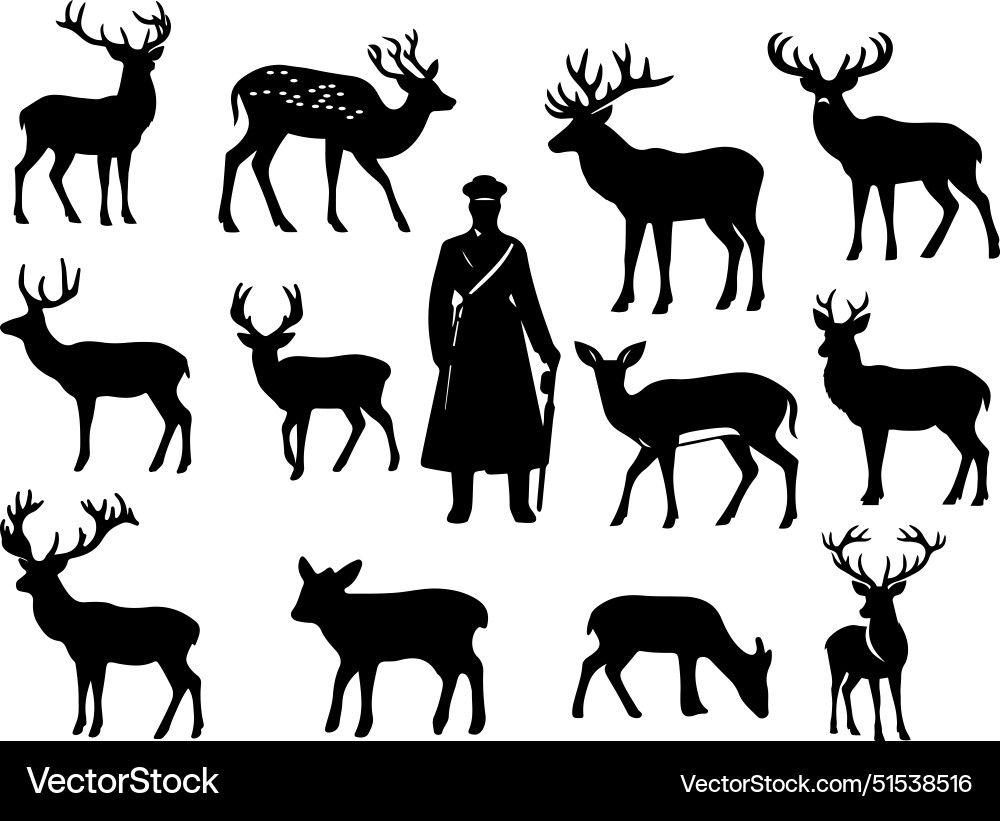 Hunting Royalty Free Vector Image - VectorStock