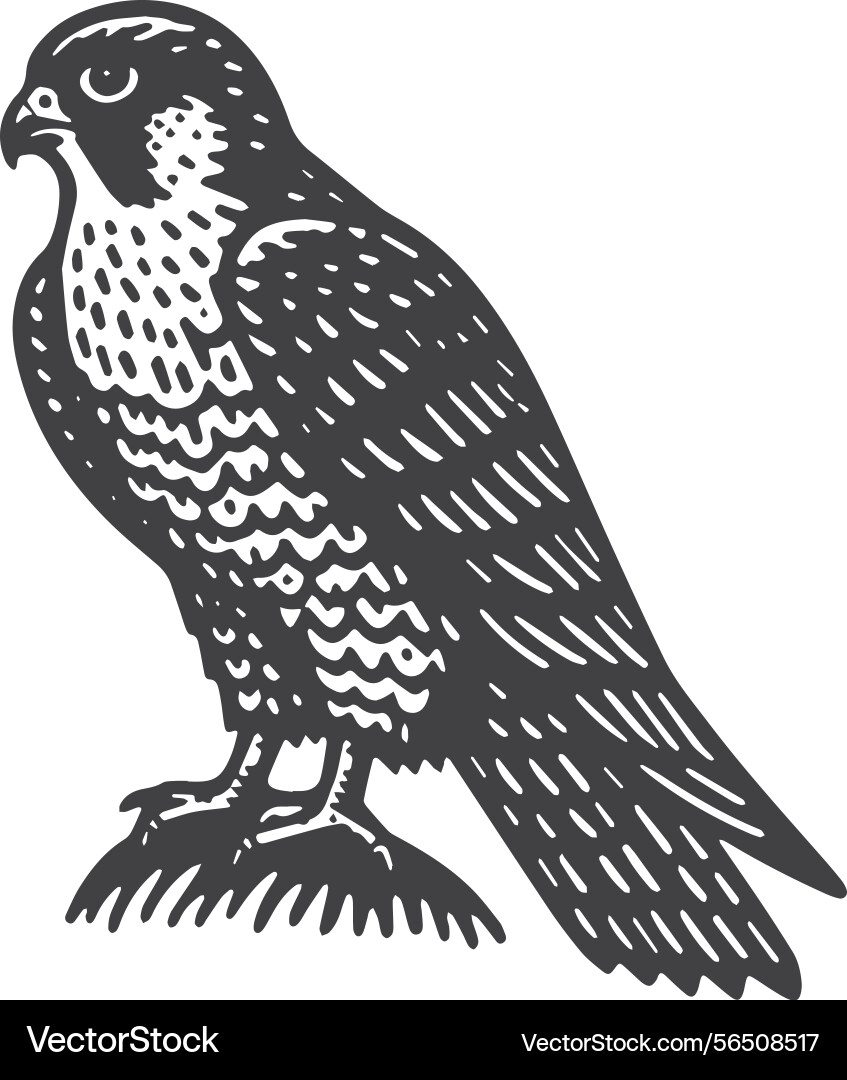 Simple peregrine falcon side view icon design Vector Image