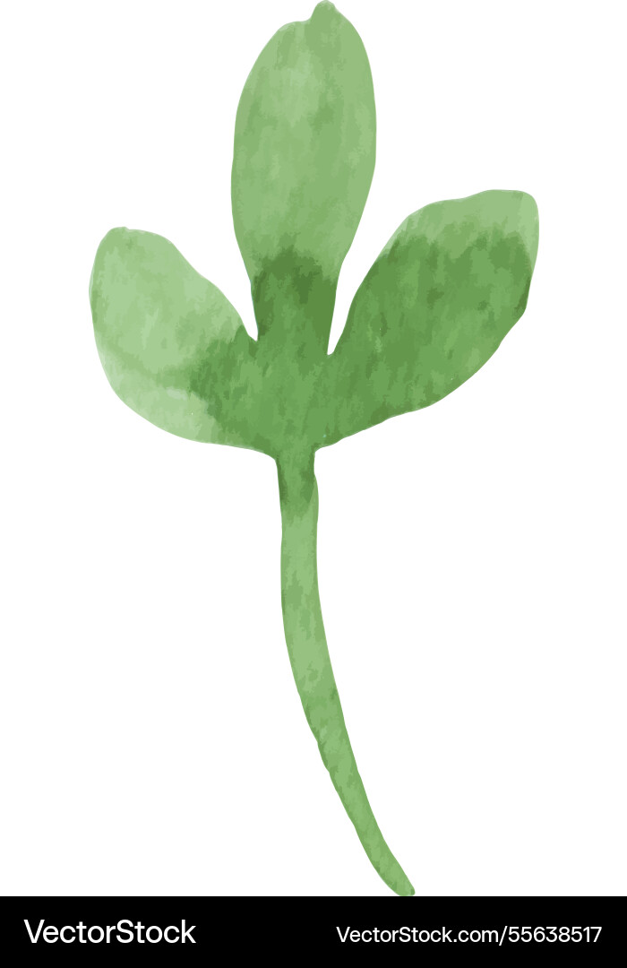 Watercolor painted clover leaf hand drawn design Vector Image