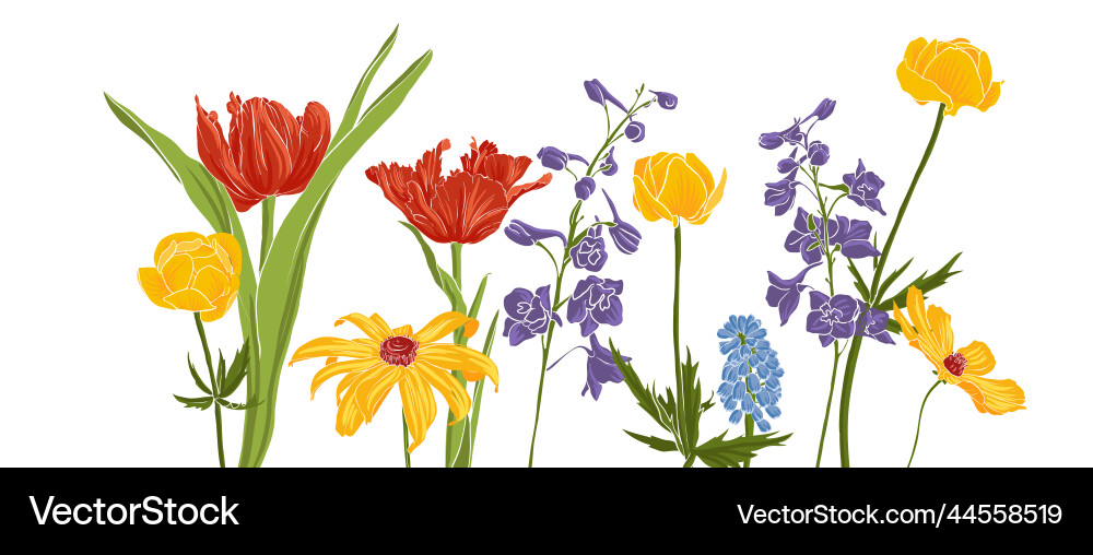 Drawing garden flowers Royalty Free Vector Image