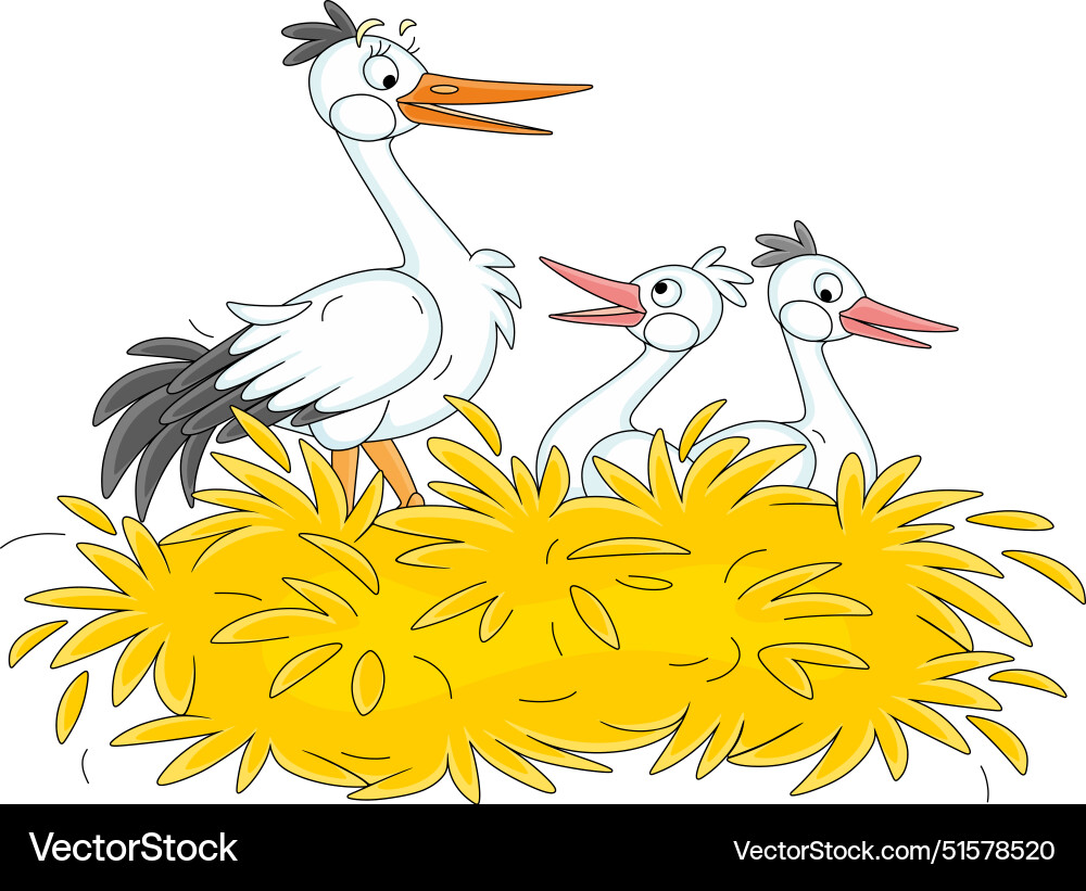 Happy bird family chattering Royalty Free Vector Image
