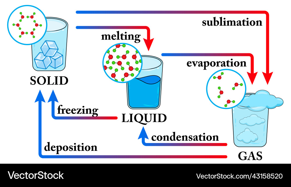 Water states of matter phase change state Vector Image