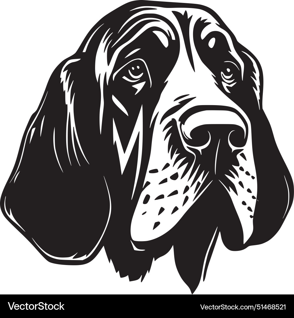 Bloodhound - black and white isolated icon Vector Image