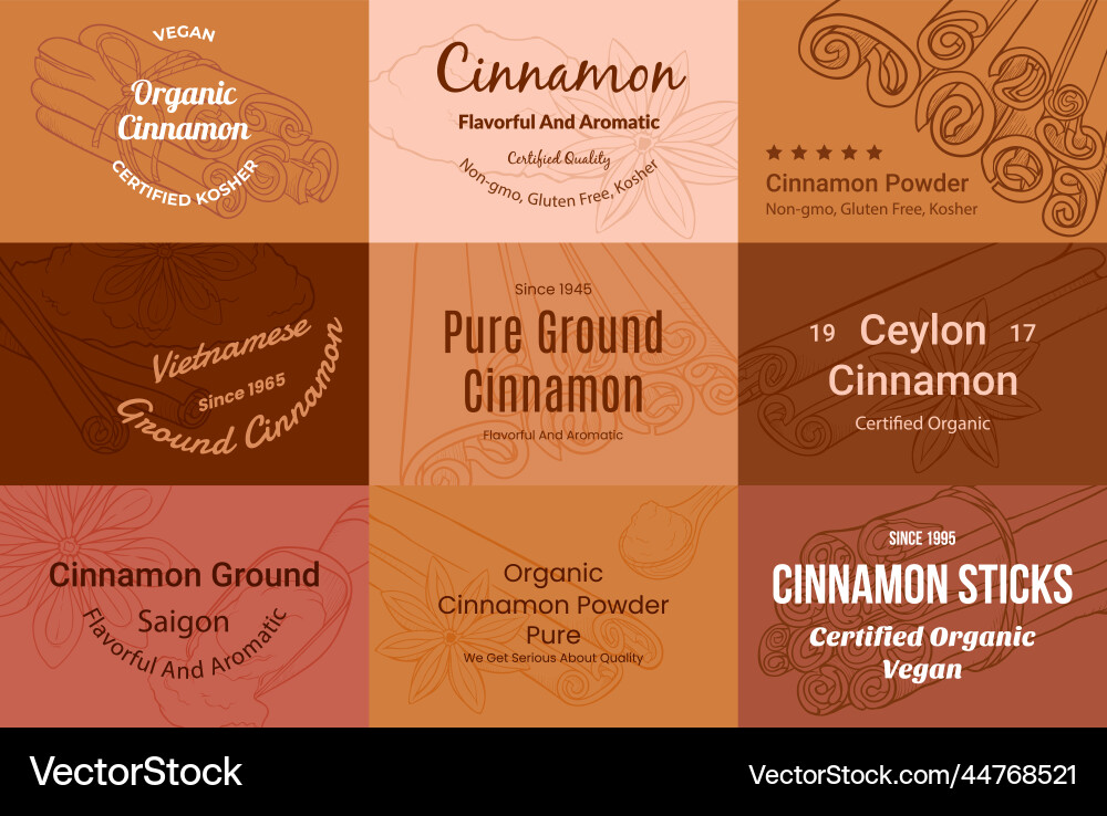 Cinnamon powder sticks flavoring aromatic Vector Image