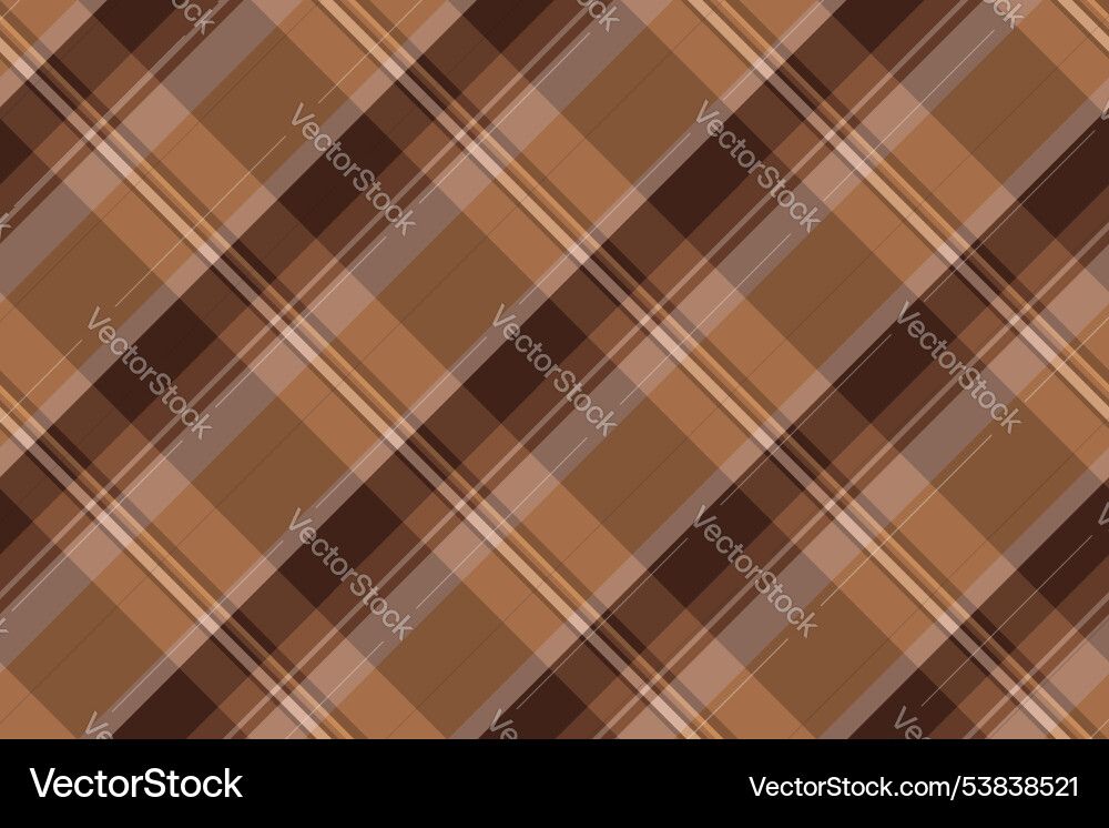Multicultural pattern tartan textile tough check Vector Image