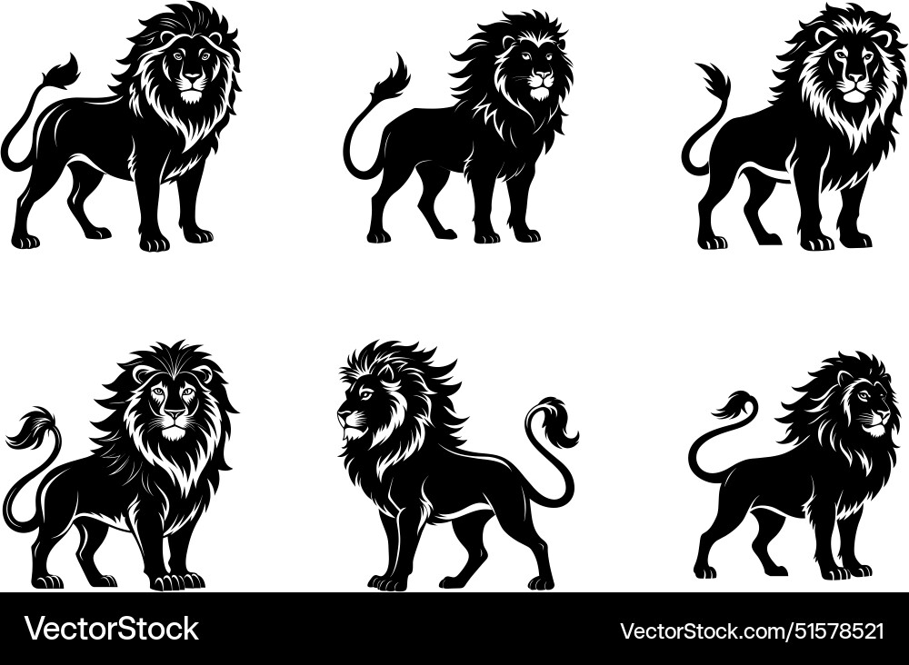 Silhouette lion collection Royalty Free Vector Image