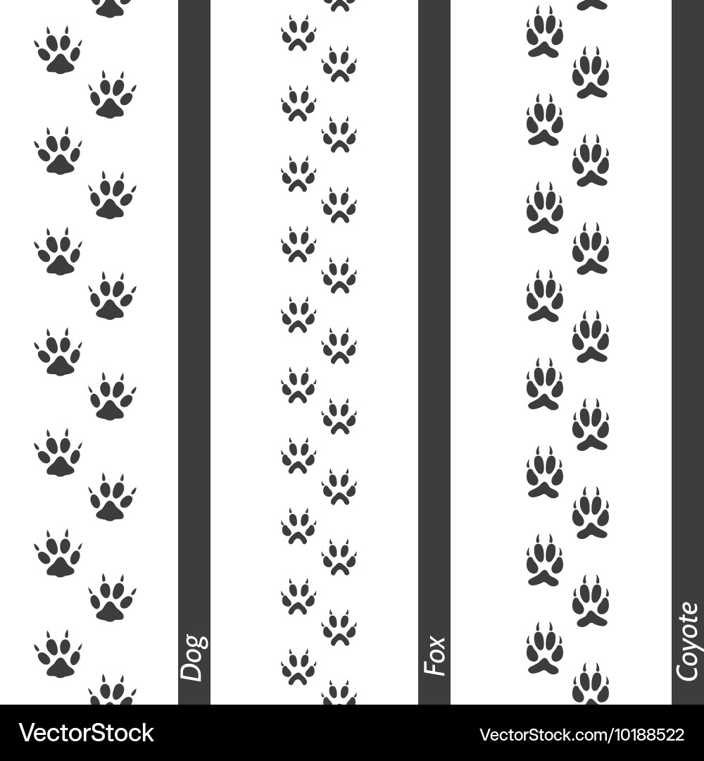 Animal Tracks Border