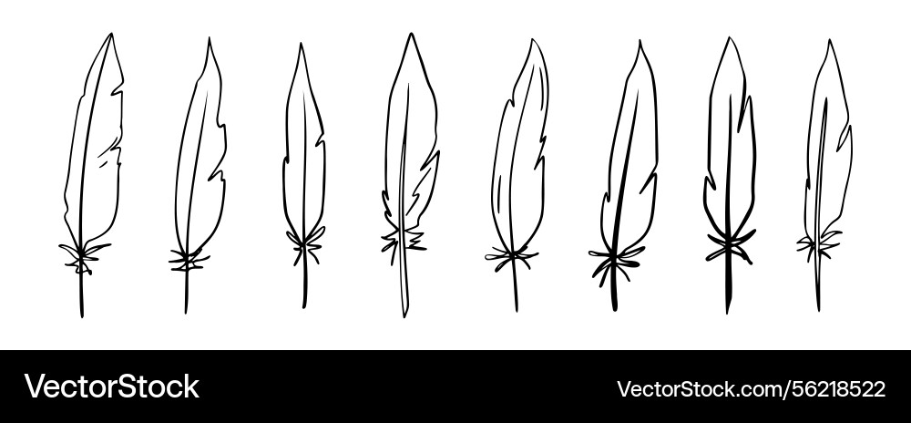 Feather pen doodle hand drawn icon set outline Vector Image