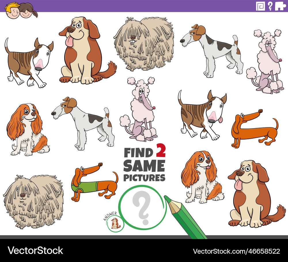 Find two same cartoon purebred dogs educational Vector Image