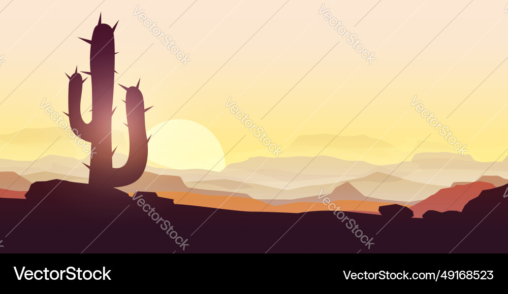 Close view cactus panoramic landscape at sunset Vector Image