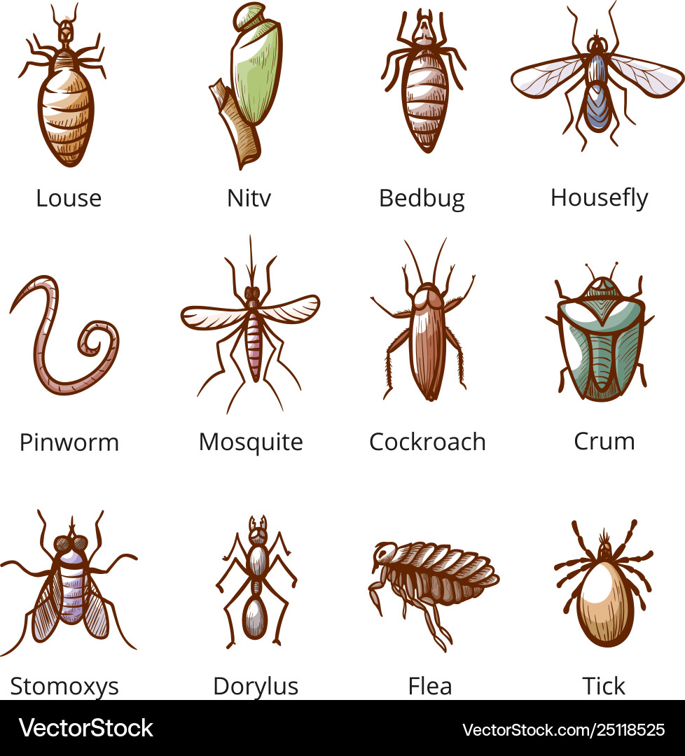 What Are The 3 Categories Of Common Plant Pests