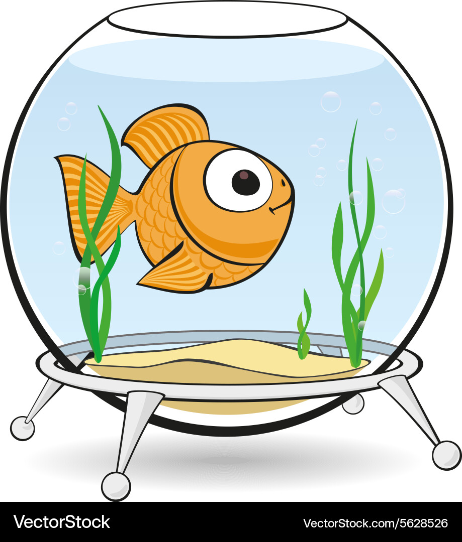 Gold fish in aquarium Royalty Free Vector Image
