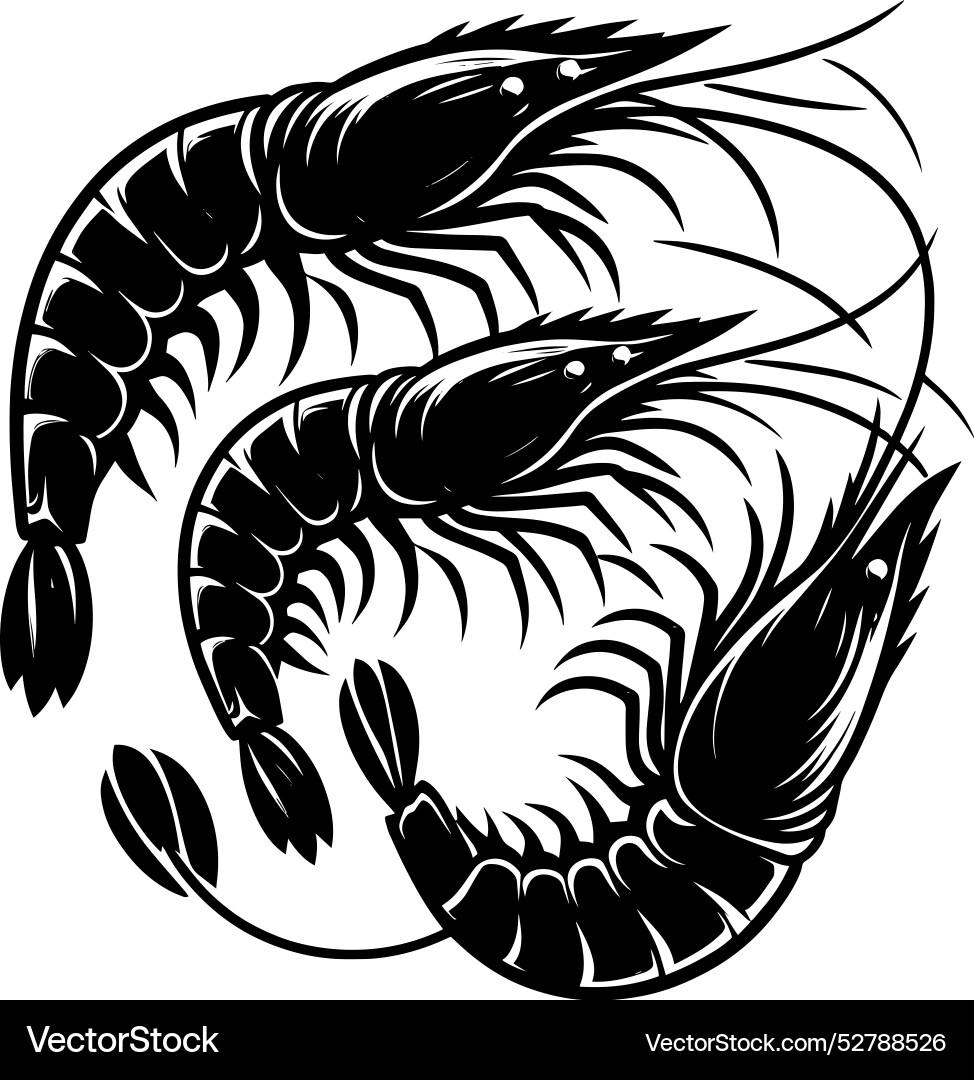 Shrimp silhouette isolated on white background Vector Image