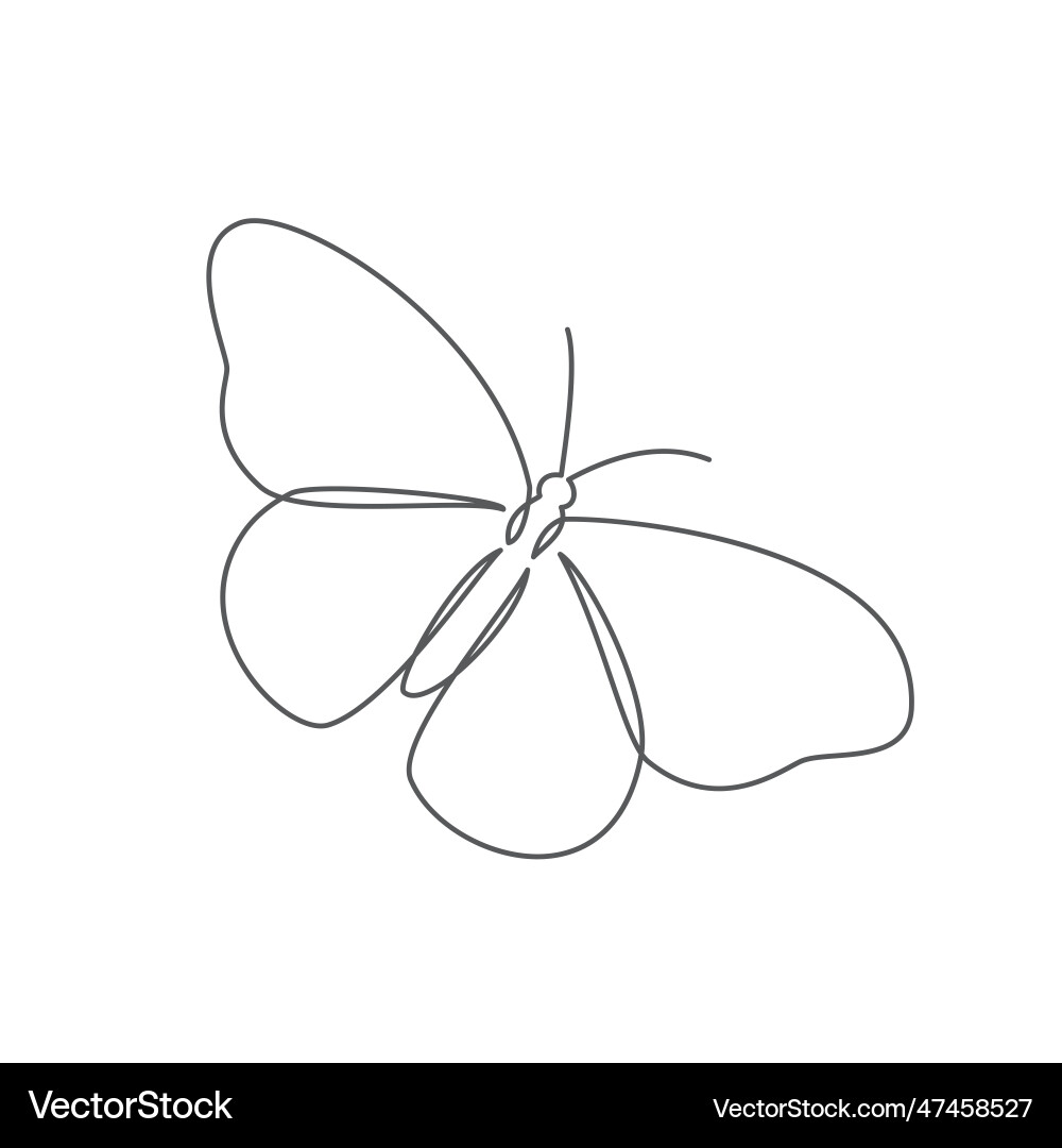 Butterfly one line drawing on white background Vector Image