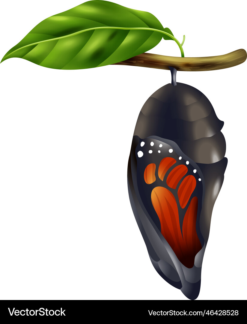 Cocoon Clipart Beehive On Branch With Swirling Bees Illustration.