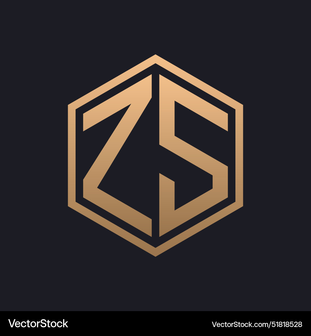 Elegant hexagon letter zs logo design initial Vector Image