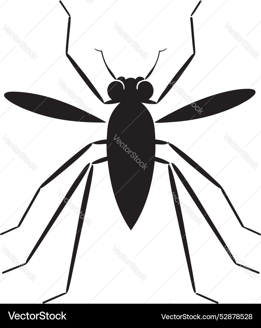 Intricate mosquito iconography abstract mosquito Vector Image