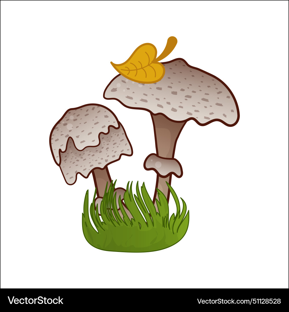 Mushroom isolated toadstool Royalty Free Vector Image
