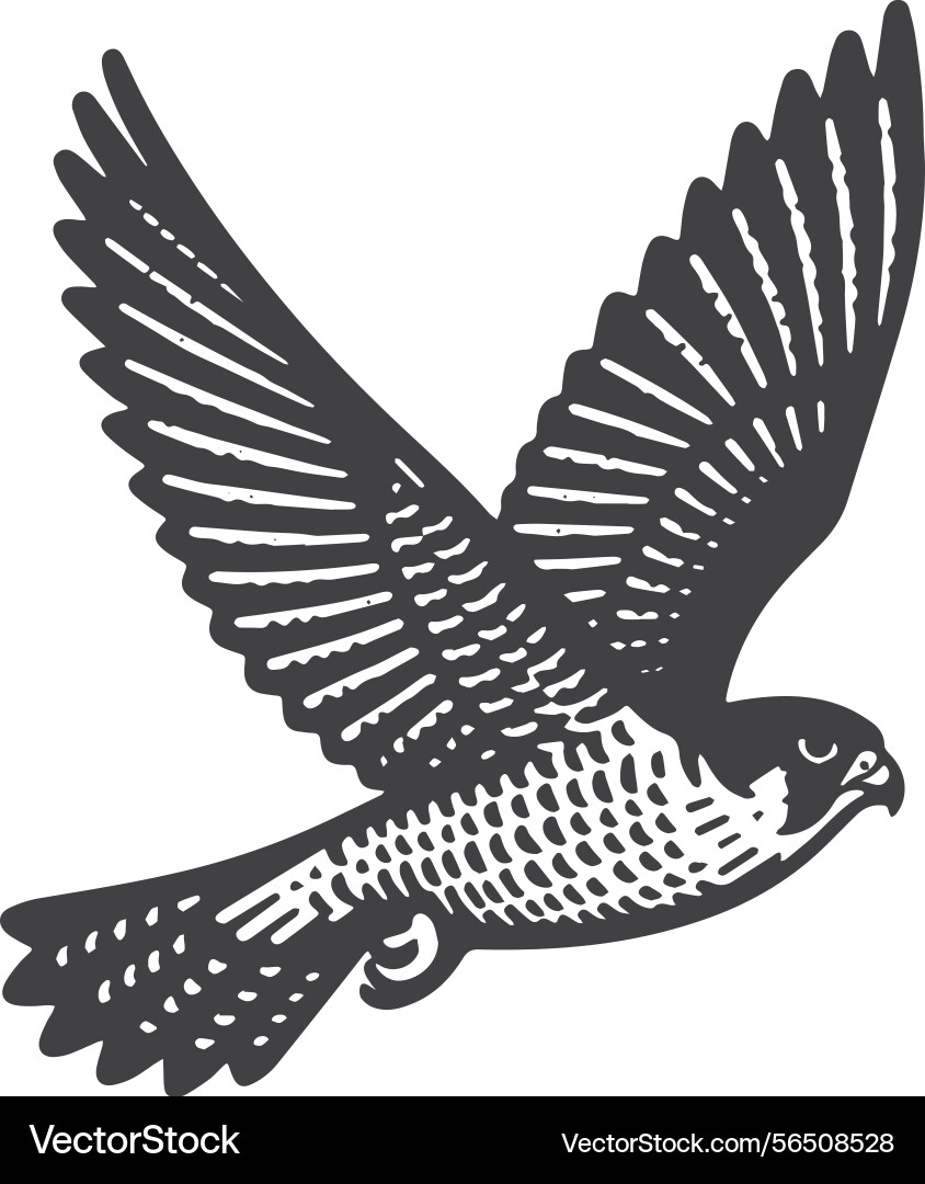 Simple peregrine falcon flying icon design Vector Image