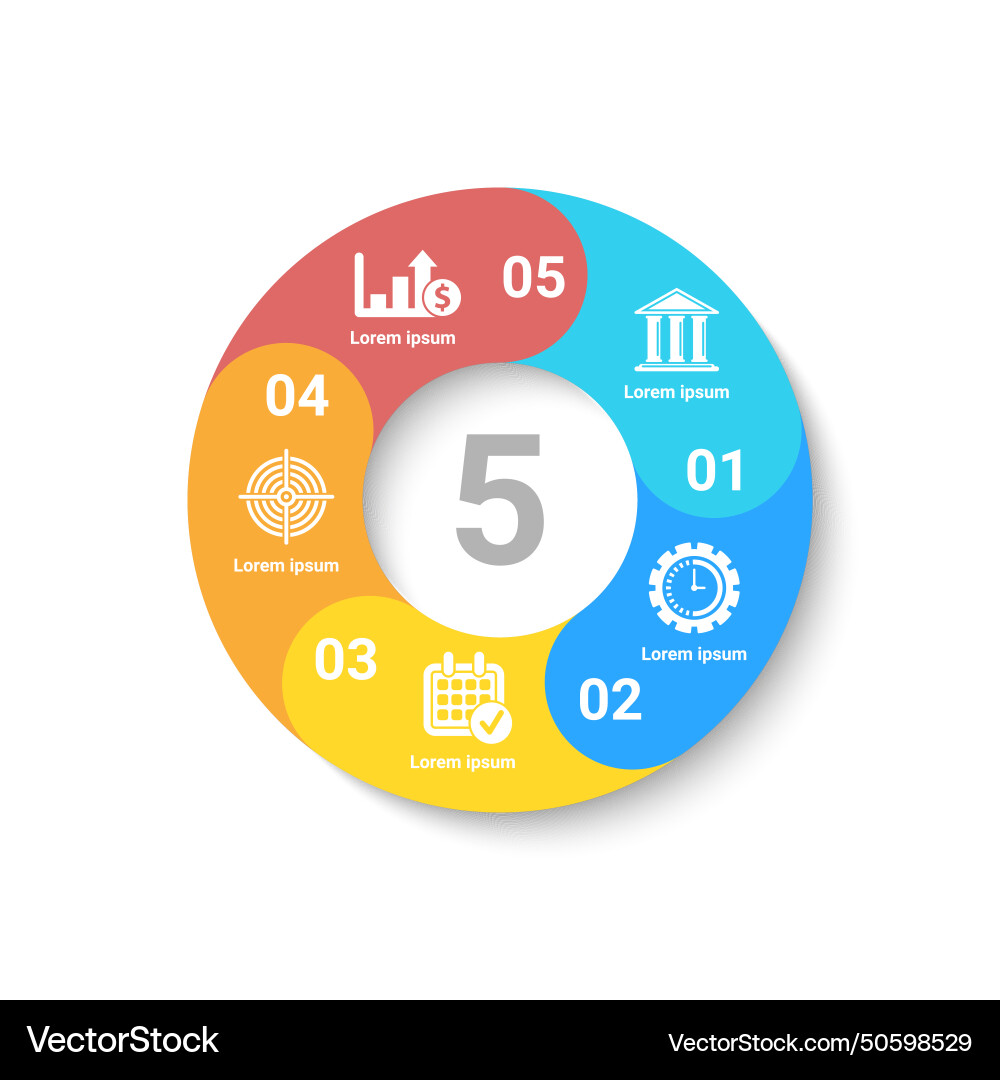 Circle business infographic template with 5 steps Vector Image