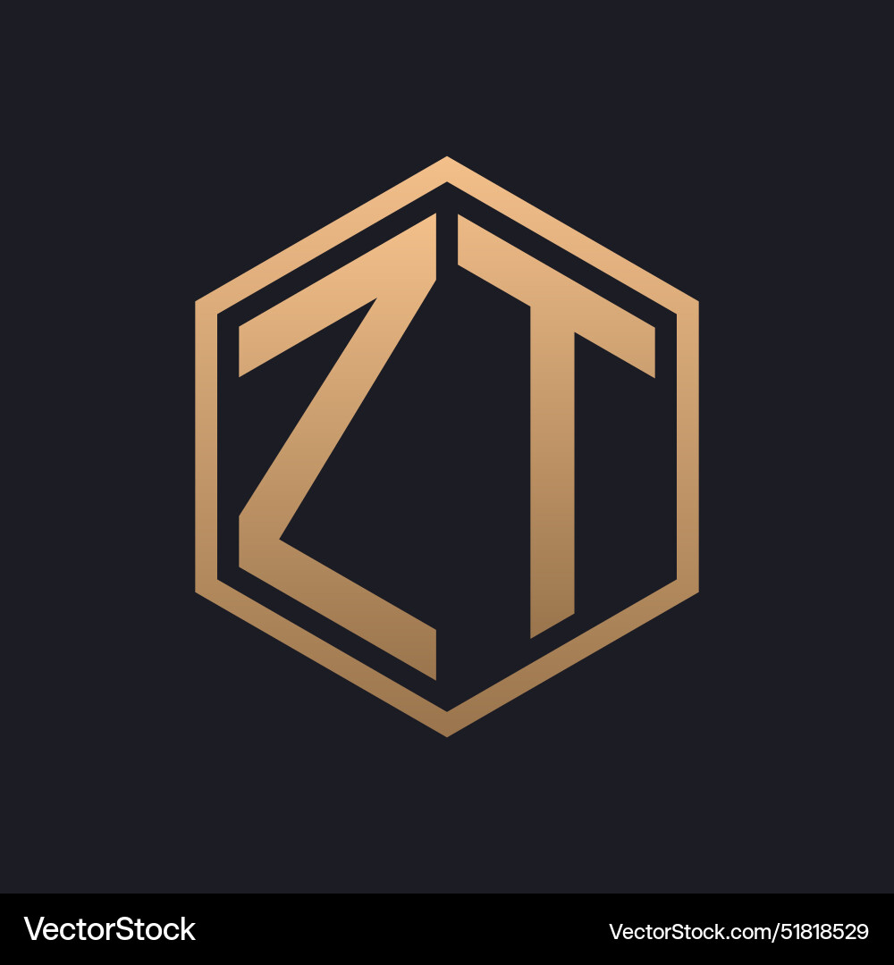 Elegant hexagon letter zt logo design initial Vector Image