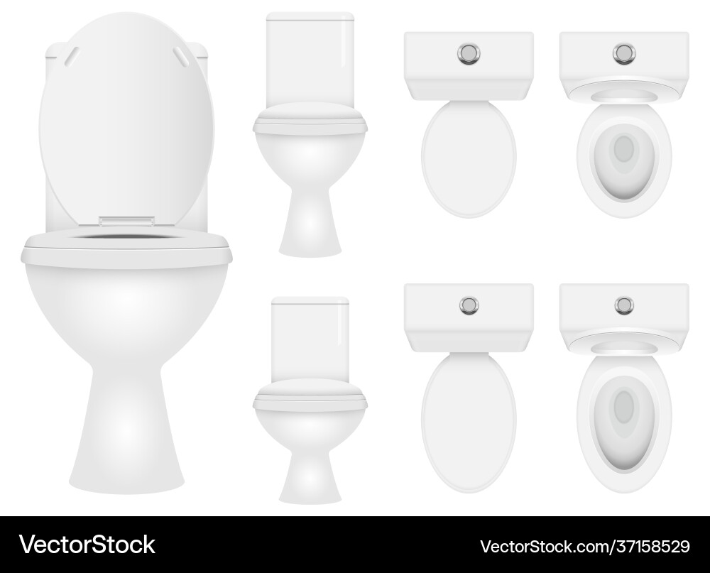 Modern toilet design isolated on white background Vector Image