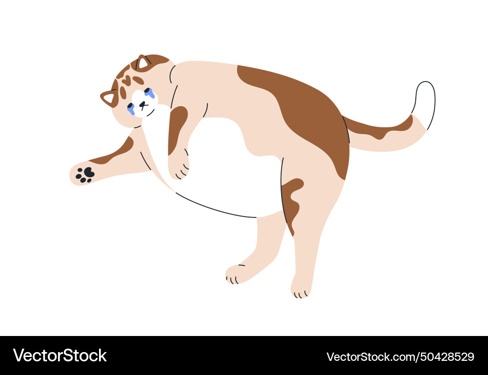 Sad fat cat lying and crying upset depressed Vector Image