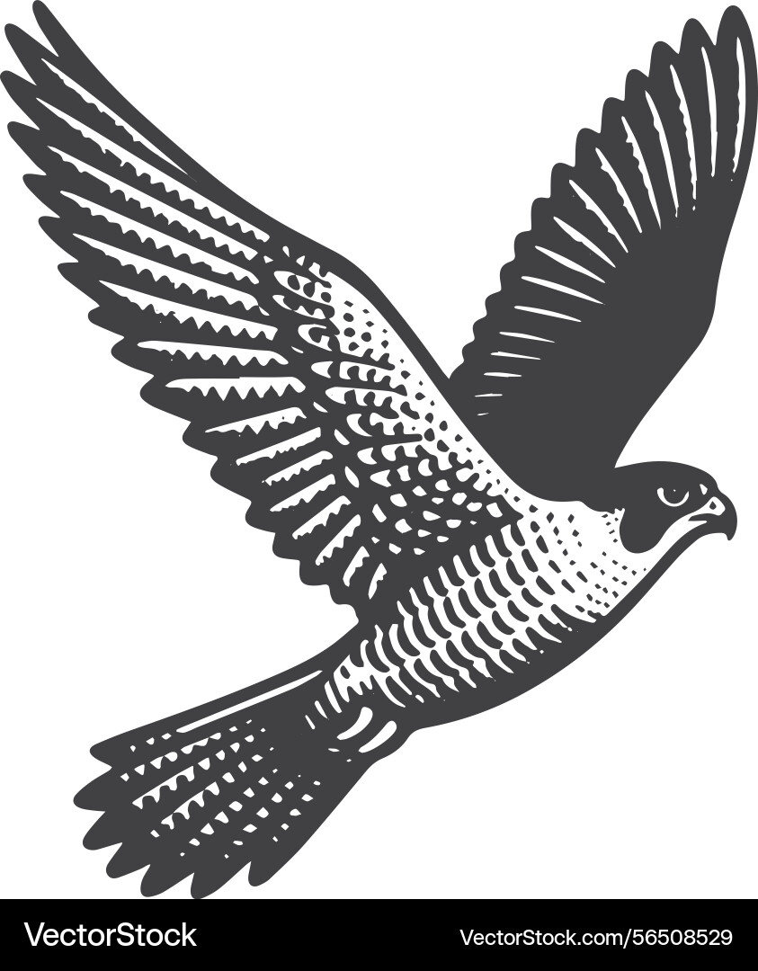Simple peregrine falcon flying icon design Vector Image