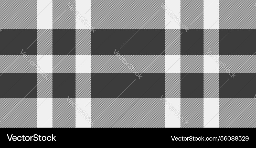 Stylish grayscale plaid pattern perfect Royalty Free Vector