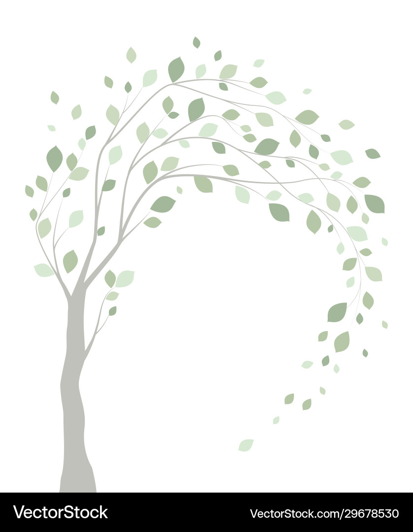 Trees with leaves Royalty Free Vector Image - VectorStock