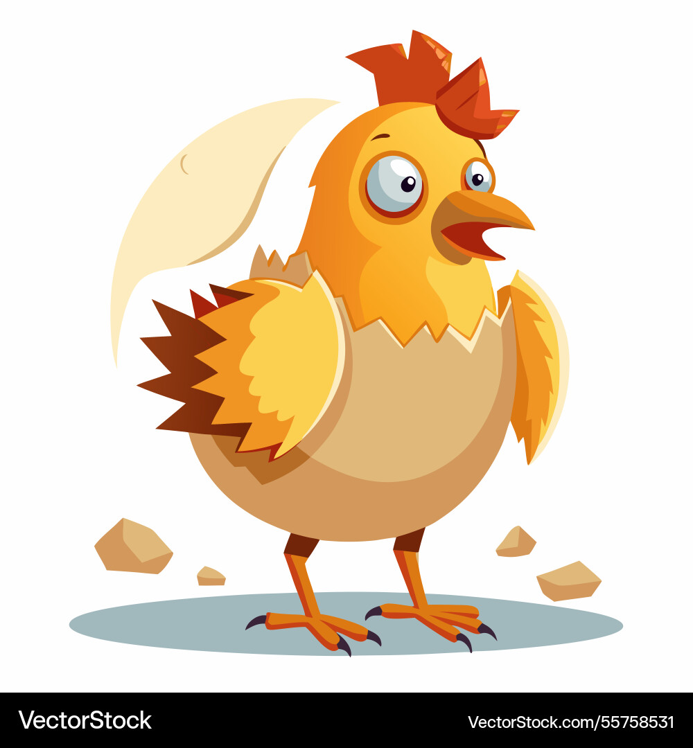 Chicken pack poultry icons Royalty Free Vector Image