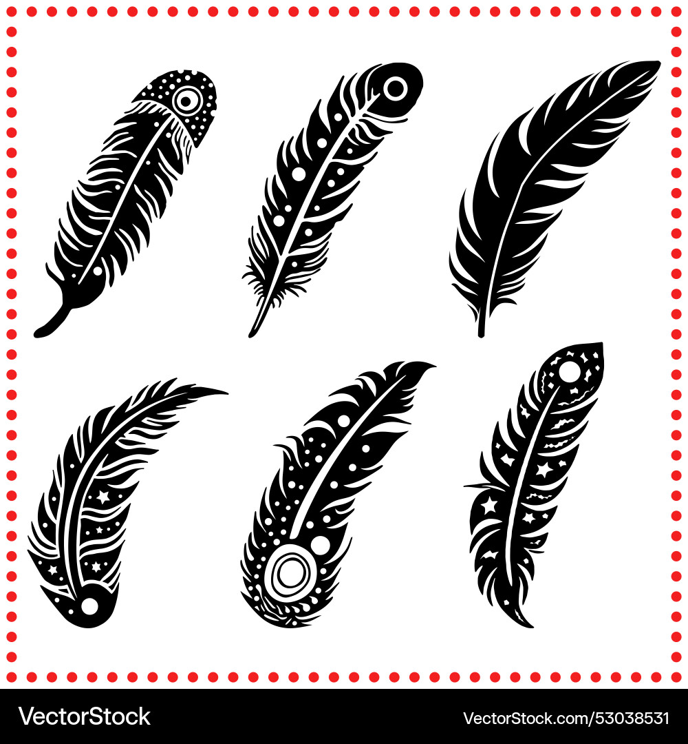 Elegant feather patterns in black and white Vector Image