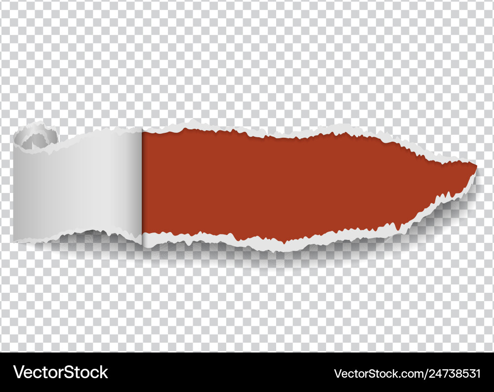 Torn paper Royalty Free Vector Image - VectorStock
