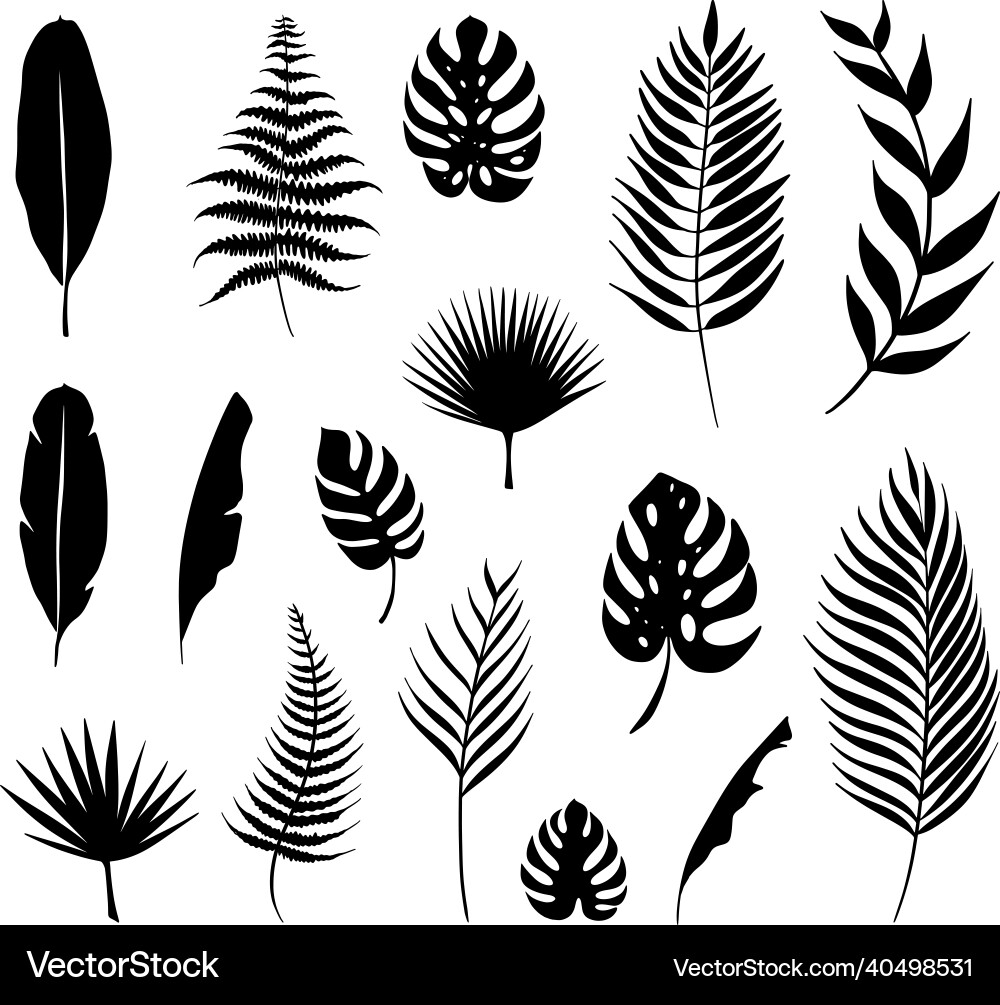 Houseplant Leaves Vector Images (over 9,400)