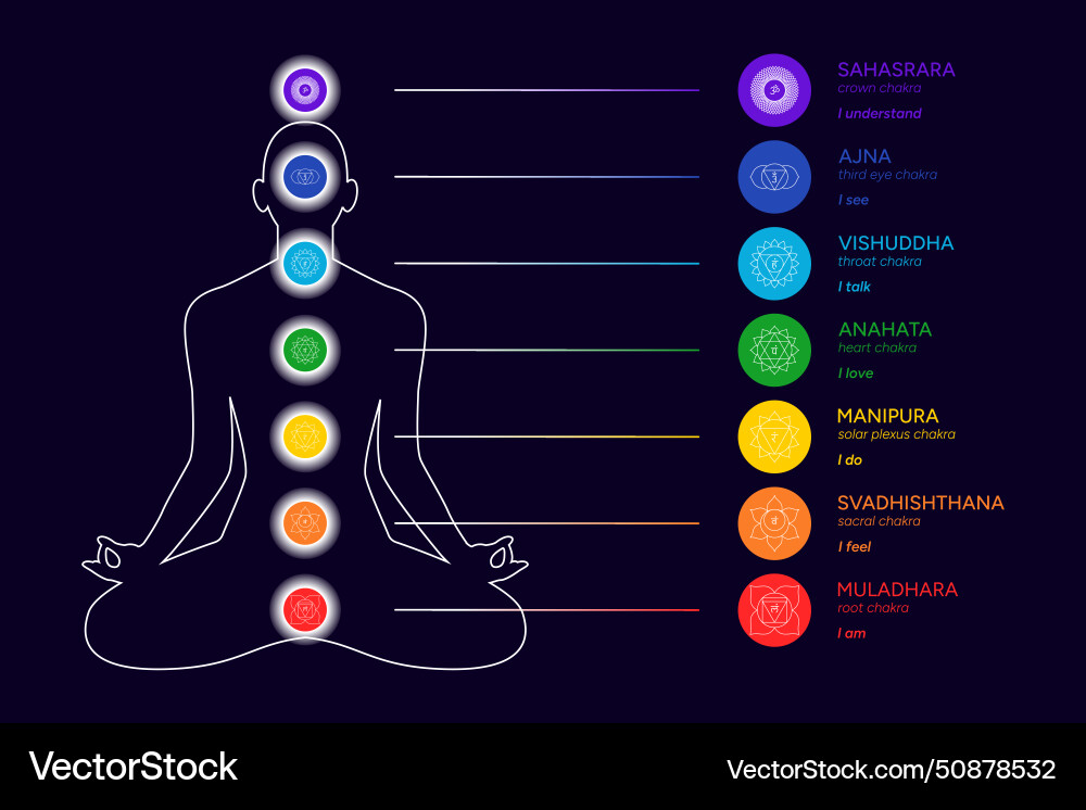 Chakras infographic names titles line art Vector Image