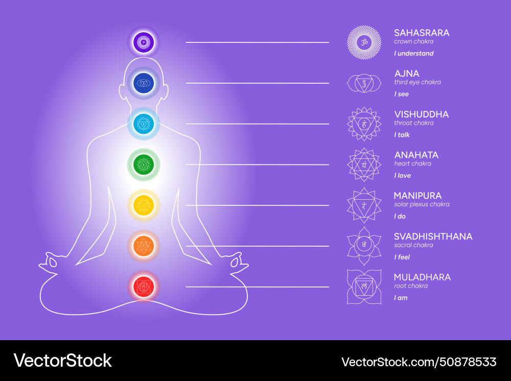 Chakras infographic names titles line art Vector Image