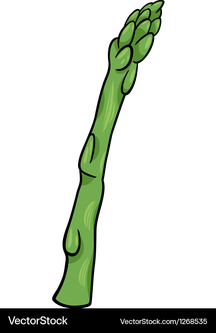 Asparagus vegetable cartoon Royalty Free Vector Image