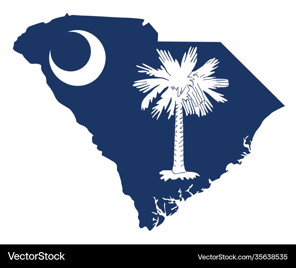 Flag and silhouette state south carolina Vector Image