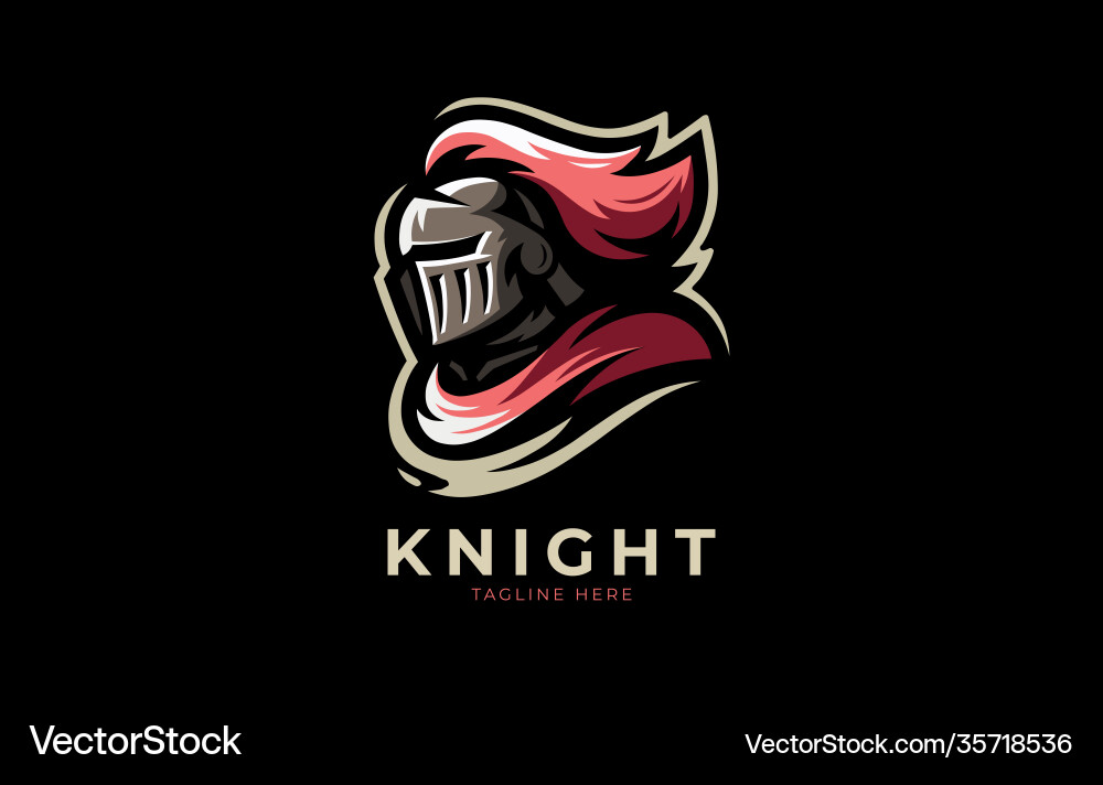 Modern professional knight logo design template Vector Image