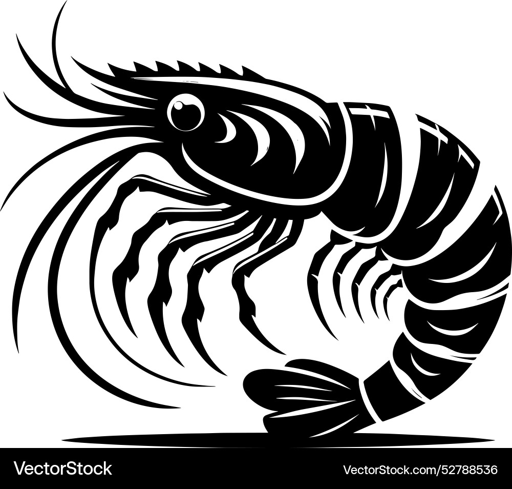 Shrimp silhouette isolated on white background Vector Image