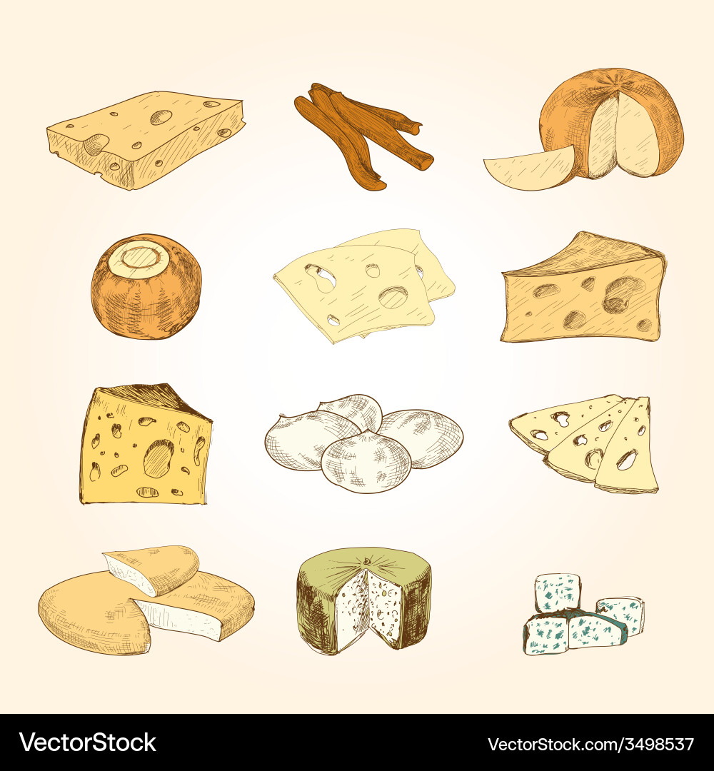 Artistic Cheese Collection Royalty Free Vector Image