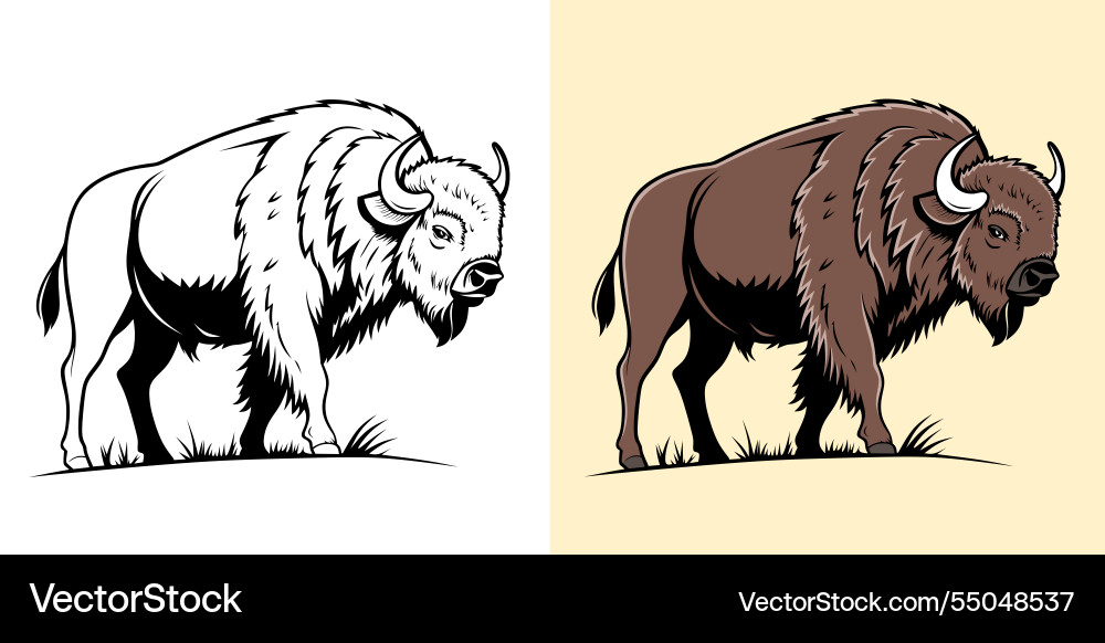 Buffalo animal Royalty Free Vector Image - VectorStock